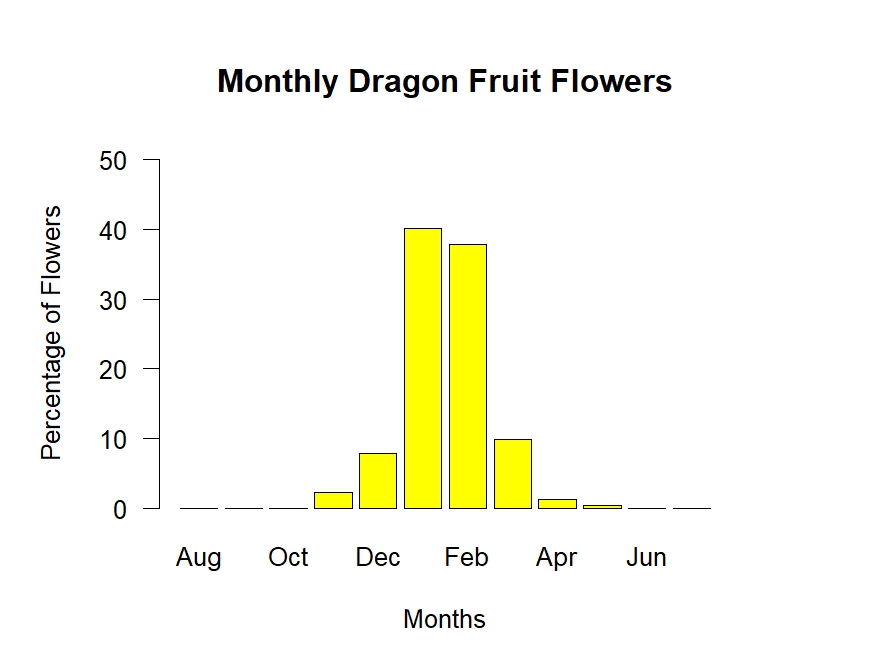 Data Analysis | Dragon Fruit Obsession