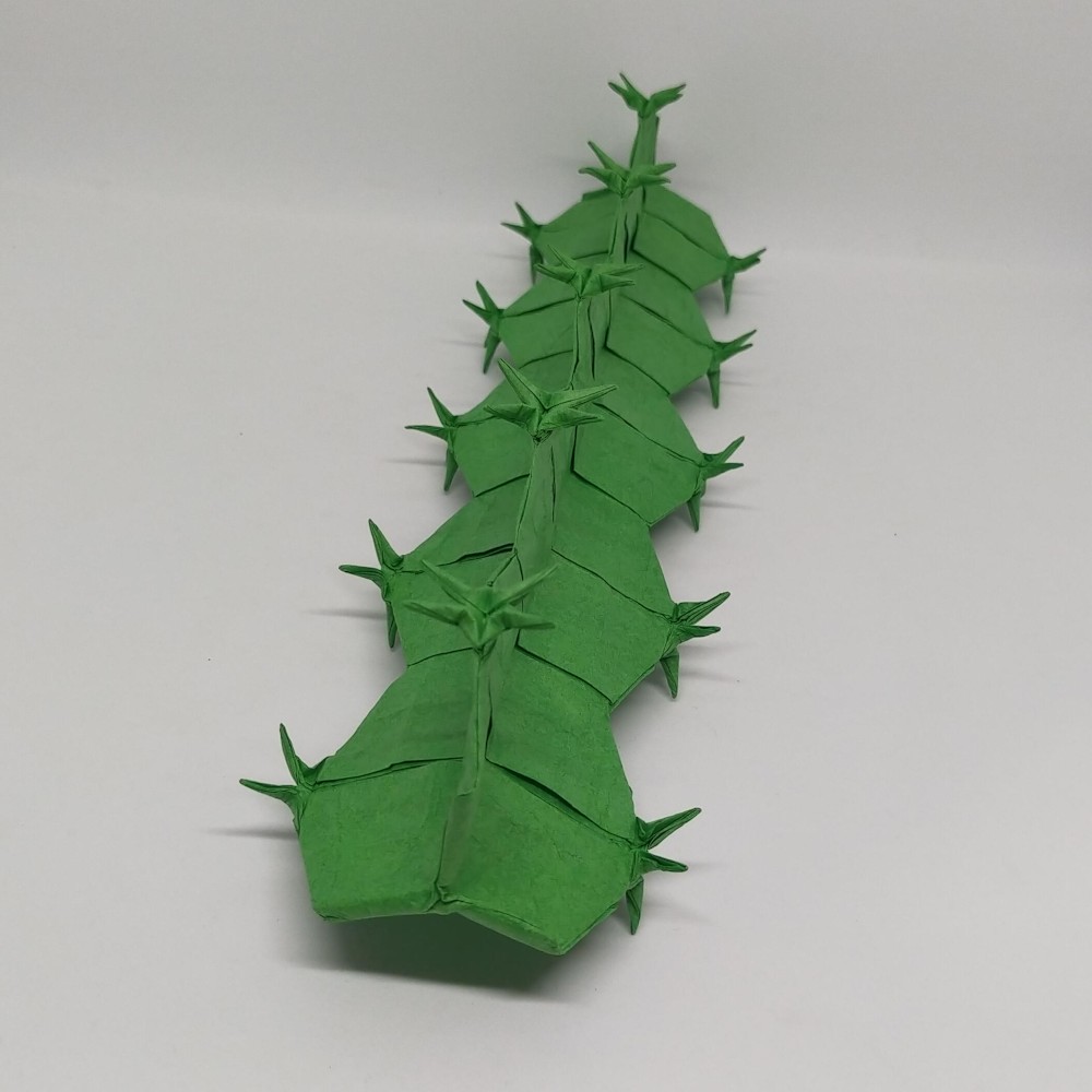 Origami | Dragon Fruit Obsession