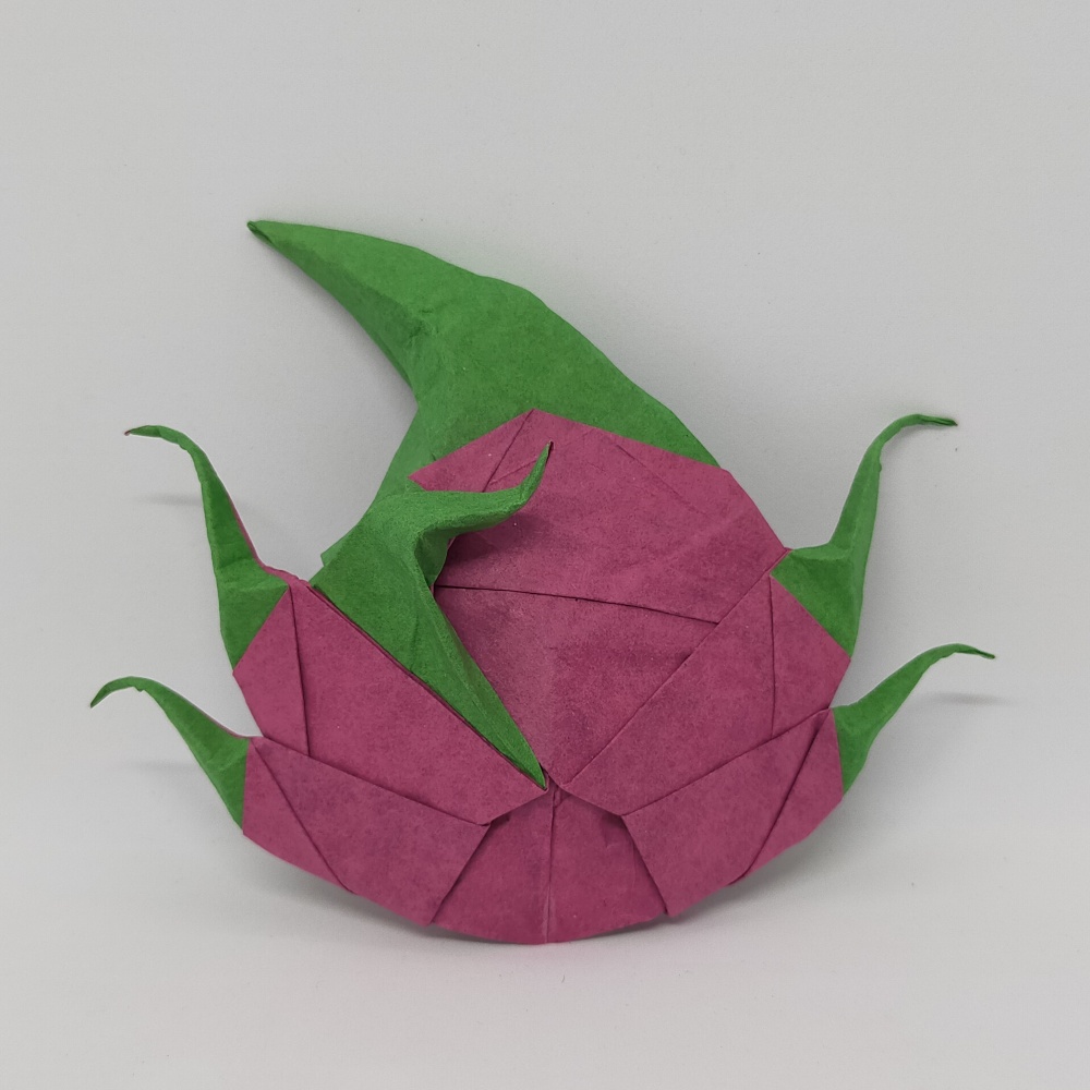 Origami | Dragon Fruit Obsession