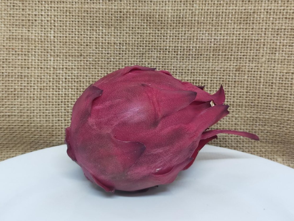 Sugar Dragon | Dragon Fruit Obsession