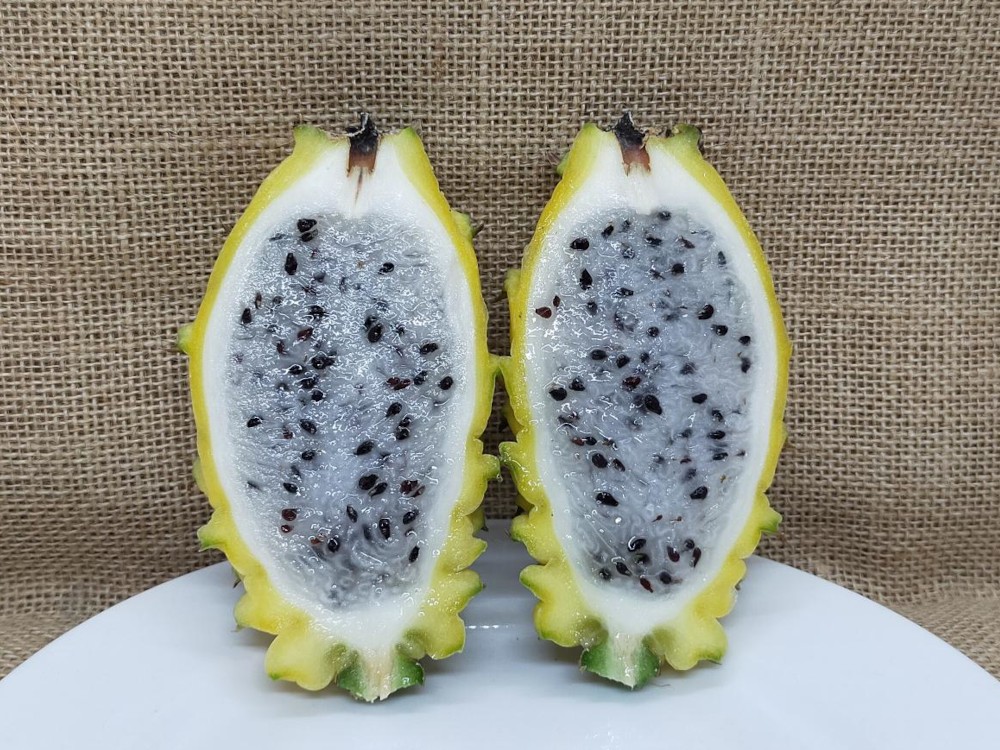 Yellow Colombiana | Dragon Fruit Obsession